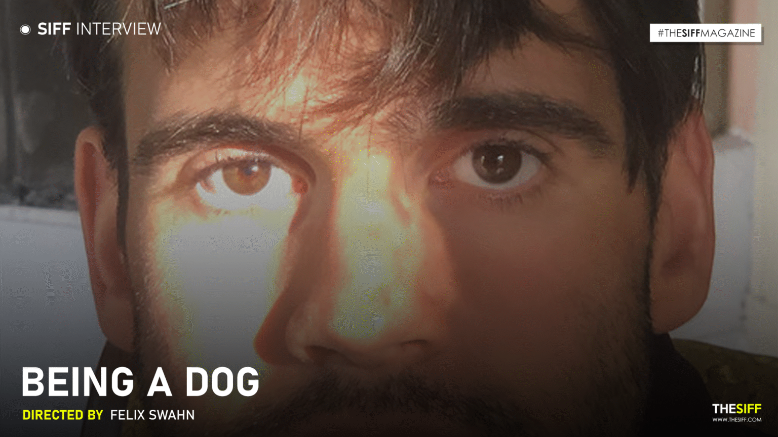 Interview | Being A Dog | The SIFF Magazine
